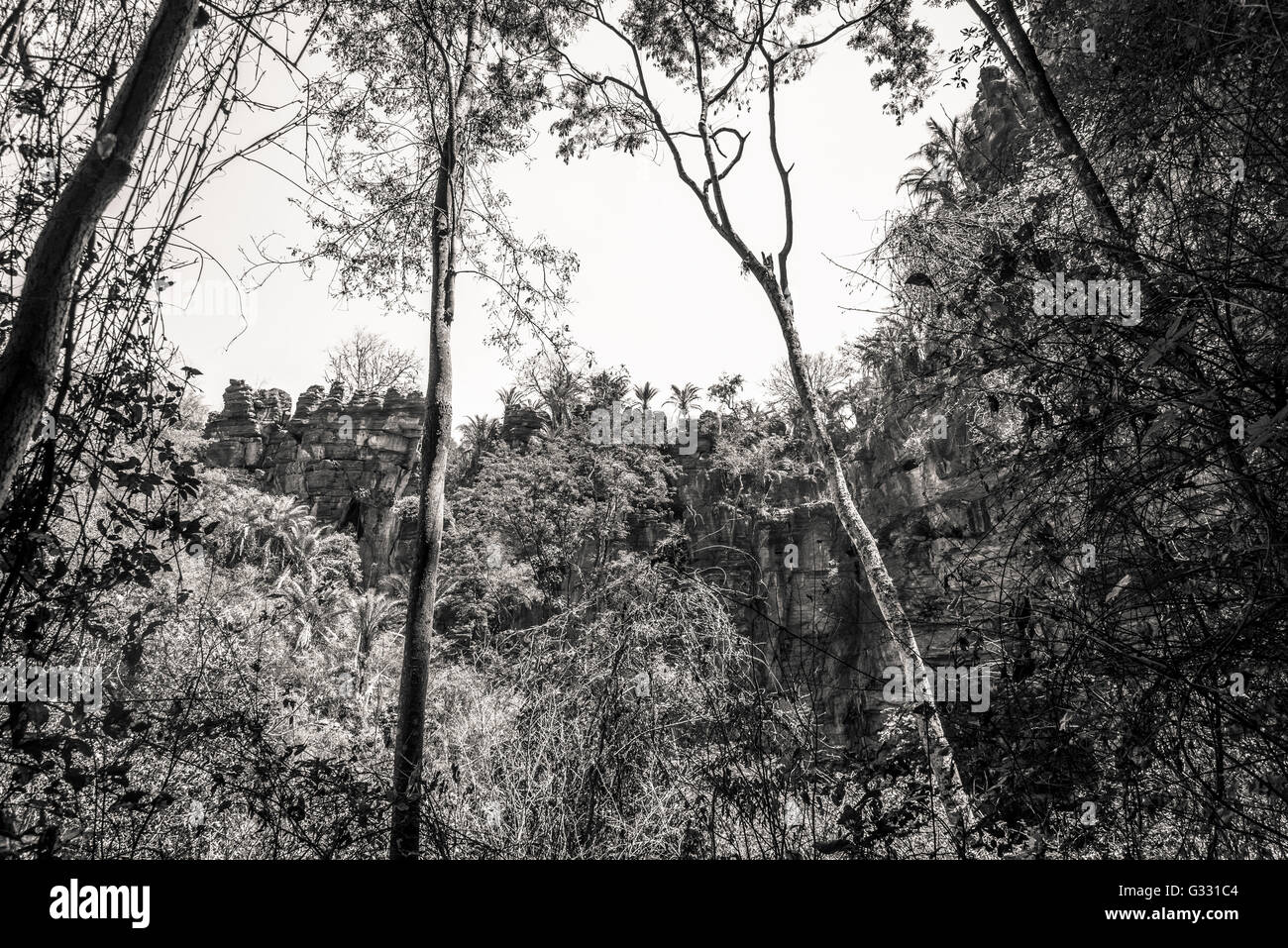 Da chapada diamantina hi-res stock photography and images - Alamy