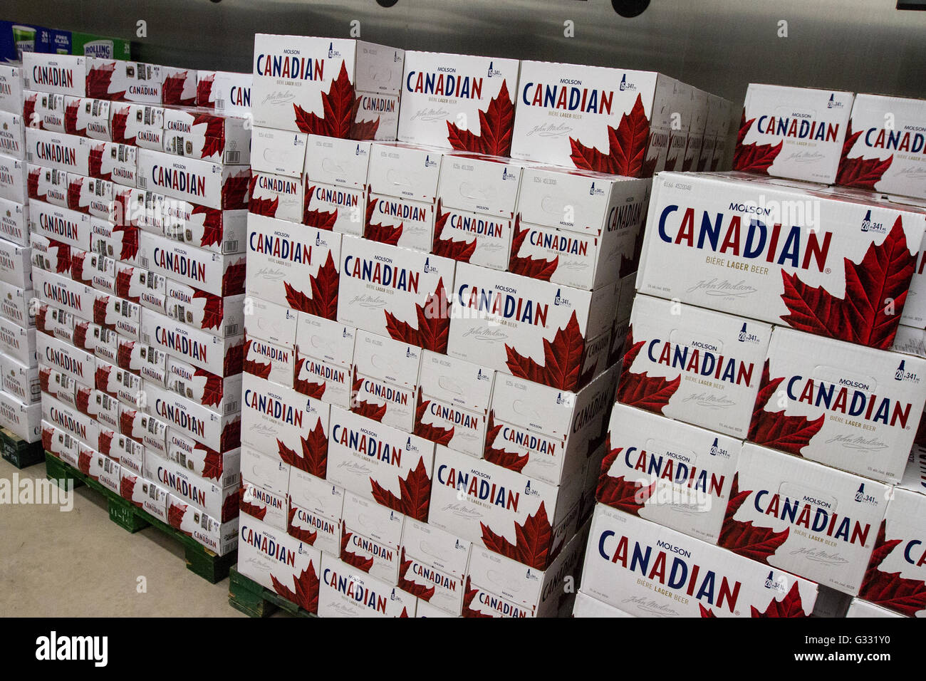 Molson Canadian beer on display at a newly opened self serve Beer store ...
