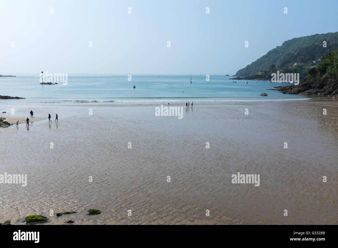 The sandy beach at North Sands near Salcombe in Devon Stock Photo - Alamy