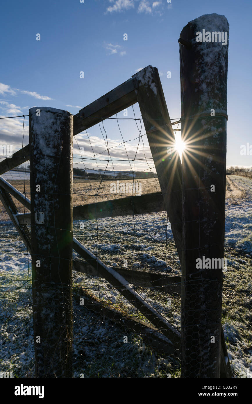 Lilliesleaf hi-res stock photography and images - Alamy