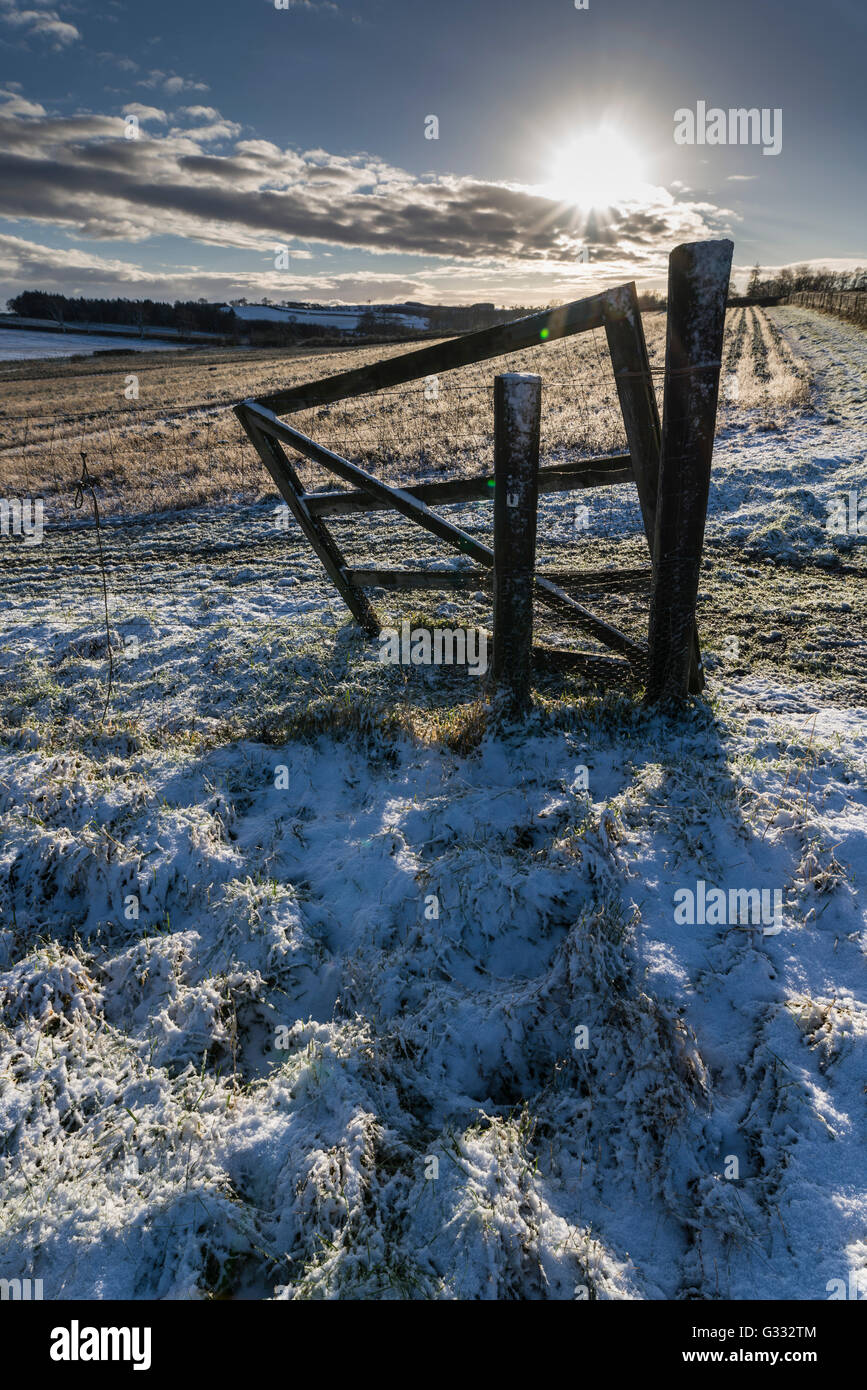 Lilliesleaf hi-res stock photography and images - Alamy