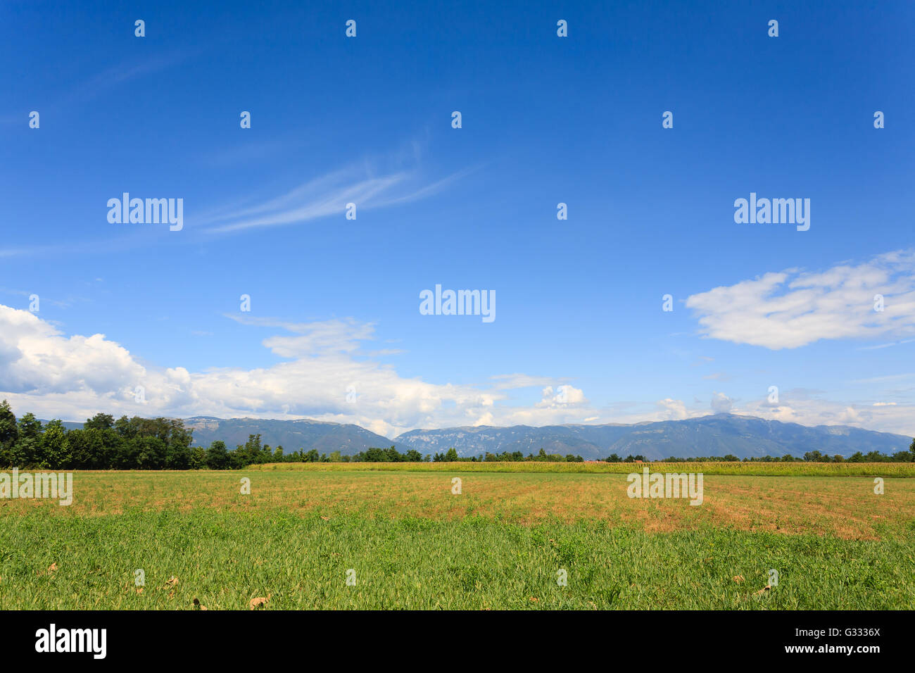 Uncultivated field with mountains in background. Italian agriculture ...