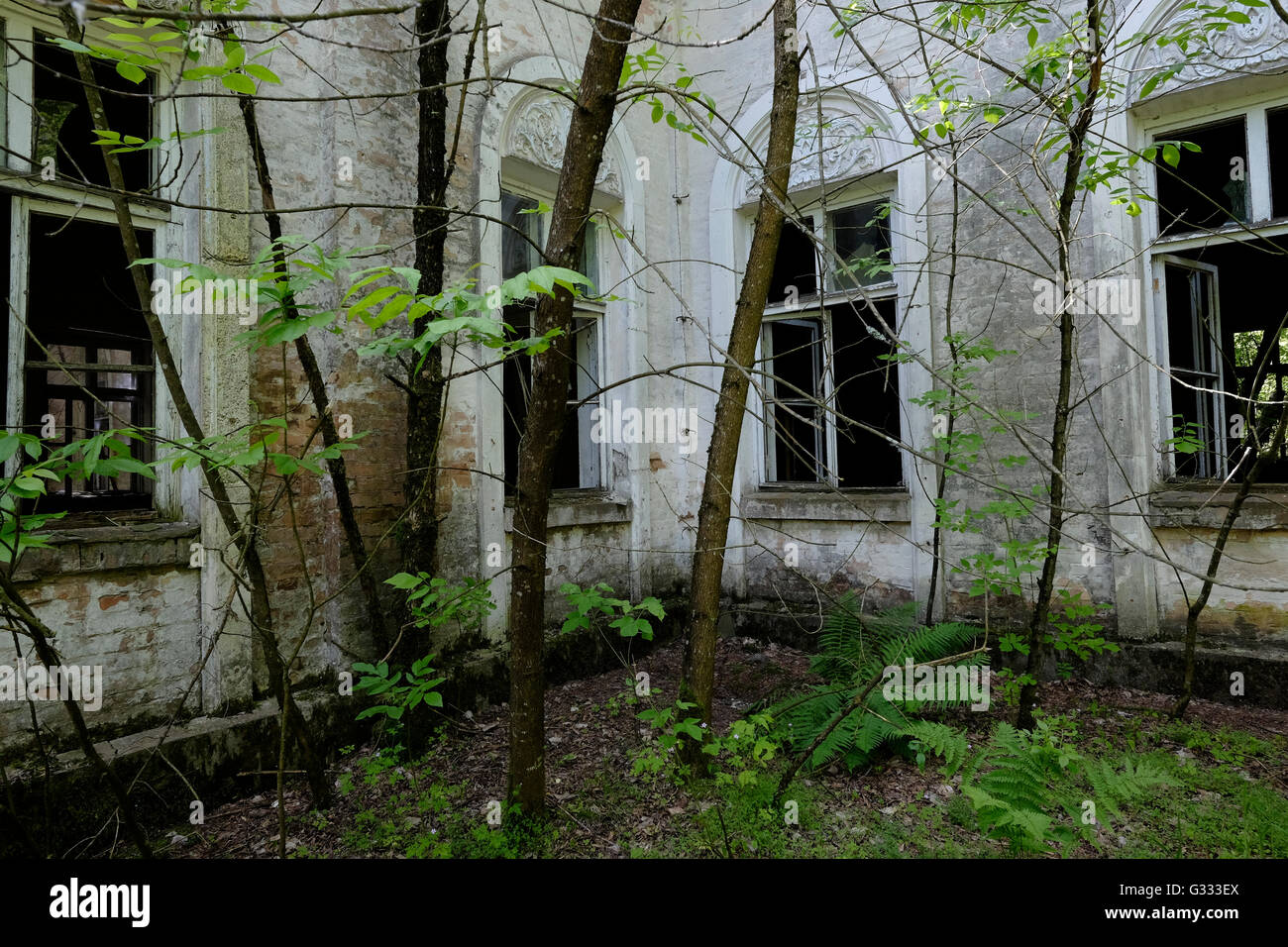 Chernobyl 1986 trees hi-res stock photography and images - Alamy