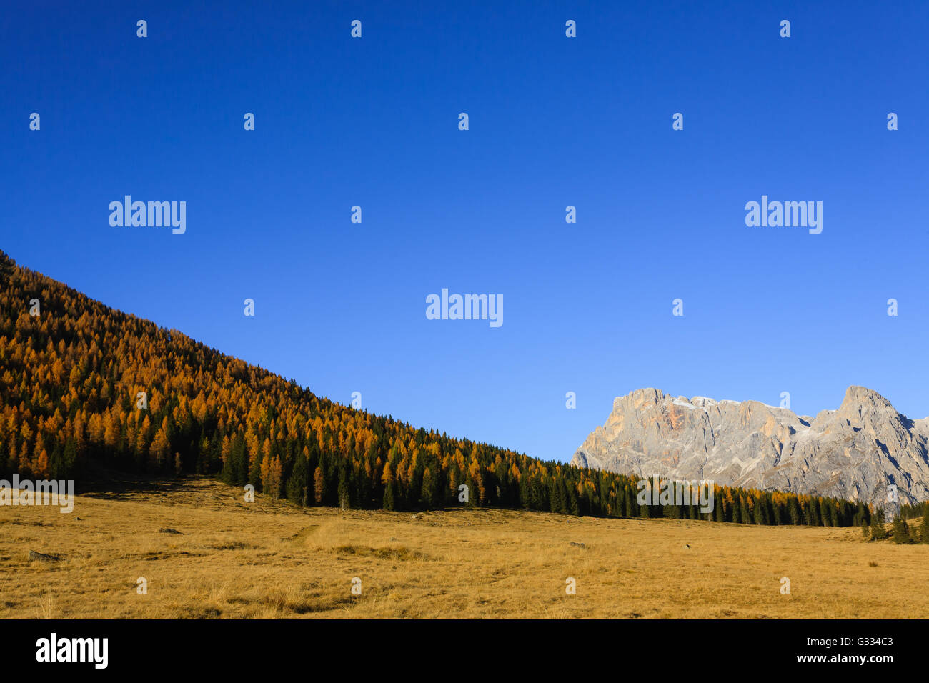 Autumn landscape from italian Alps. Yellow trees. Beautiful dolomites ...