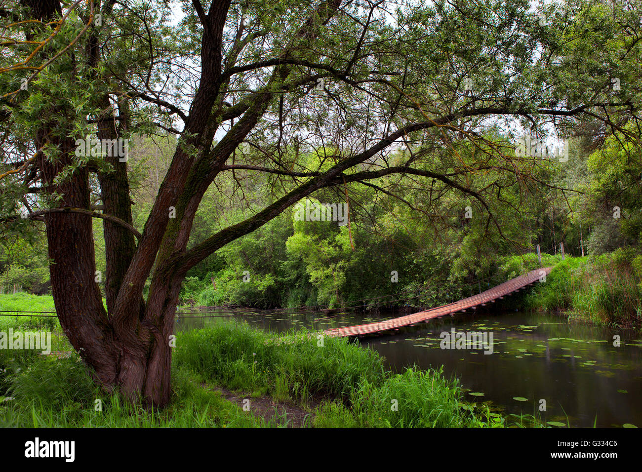 Long rope wooden bridge hi-res stock photography and images - Alamy