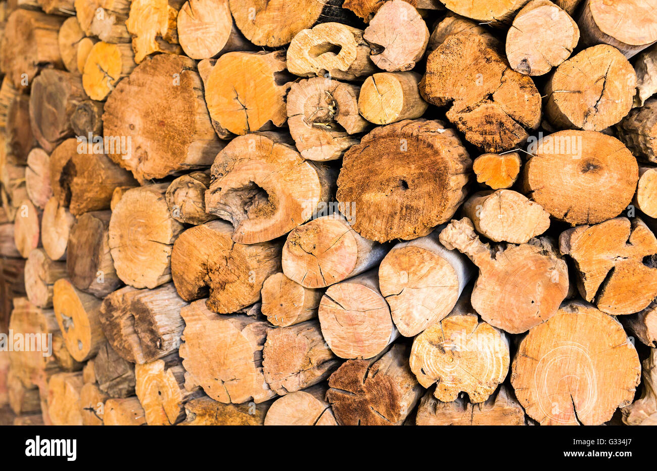 pile of cut wood stump log texture Used as background Stock Photo - Alamy