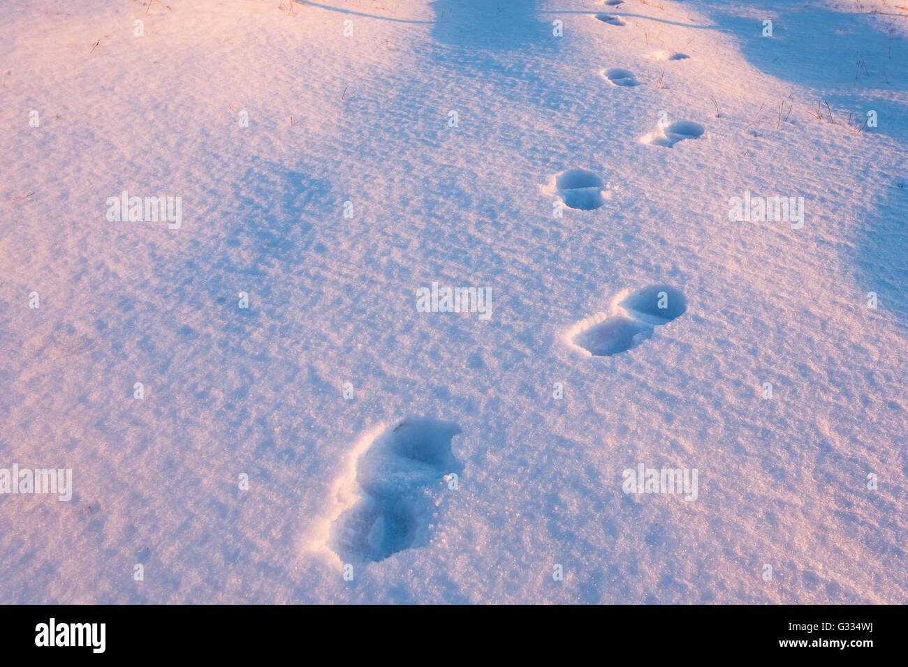 Human footsteps over frozen snow Stock Photo - Alamy