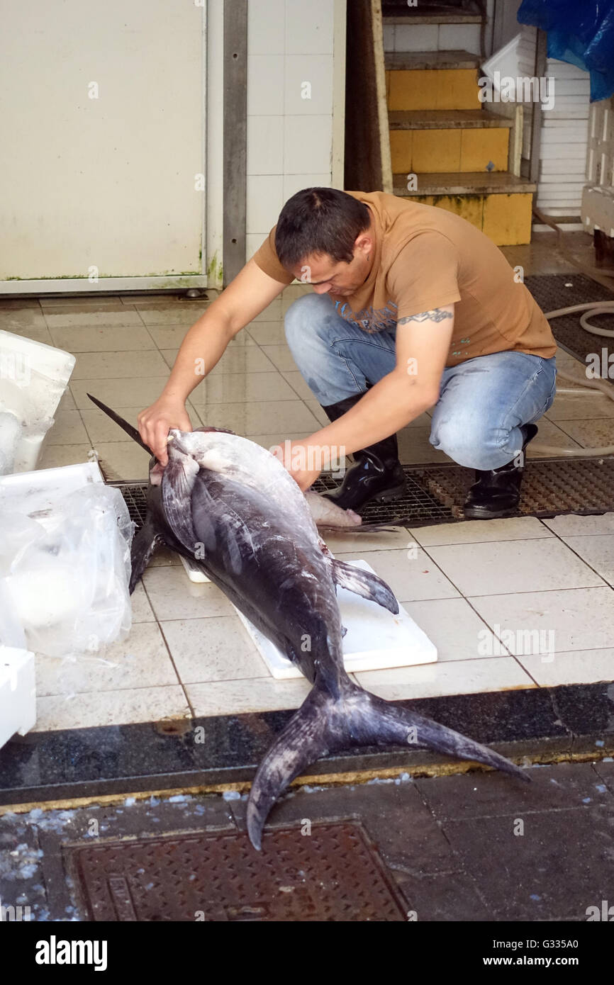 Swordfish fishing hi-res stock photography and images - Alamy