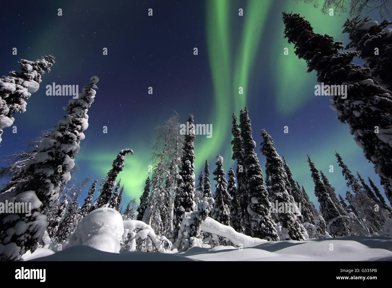 Romantic night landscape hi-res stock photography and images - Alamy