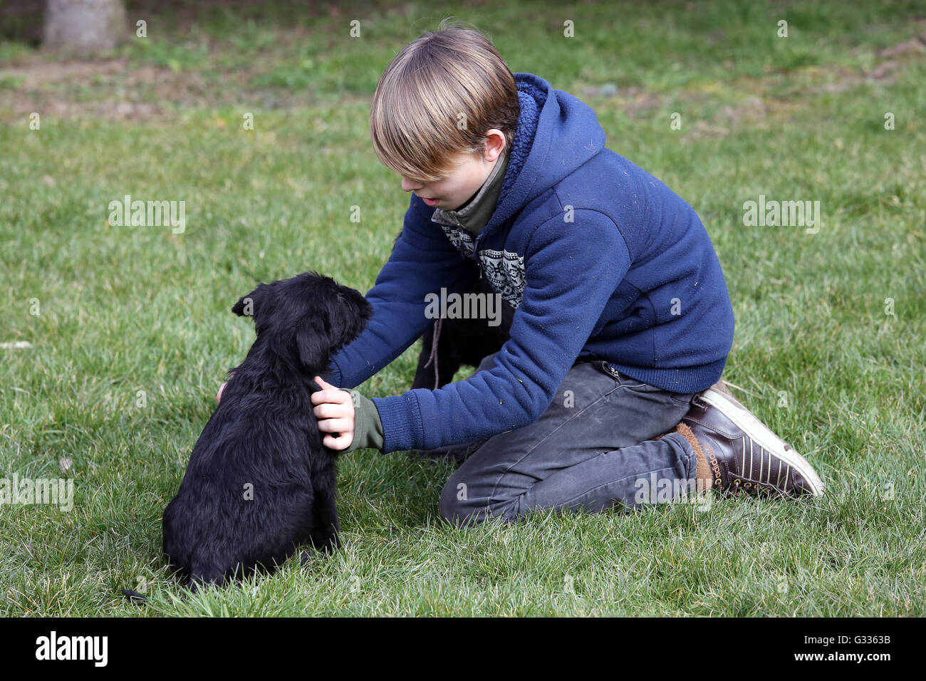 Boy caressing dogs hi-res stock photography and images - Alamy