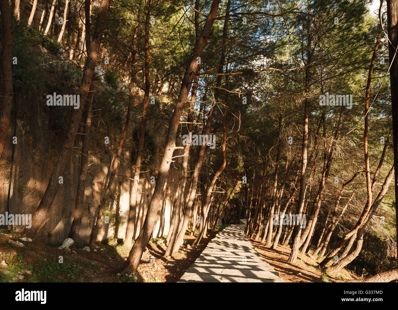 Citadel of Salah Ed-Din. Saladin Castle, Latakia, Syria Stock Photo - Alamy