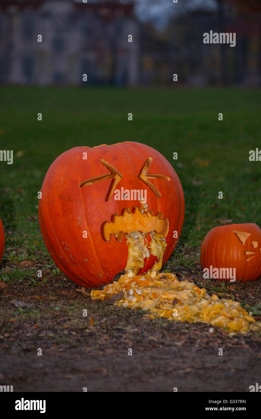Pumpkin throw up hi-res stock photography and images - Alamy