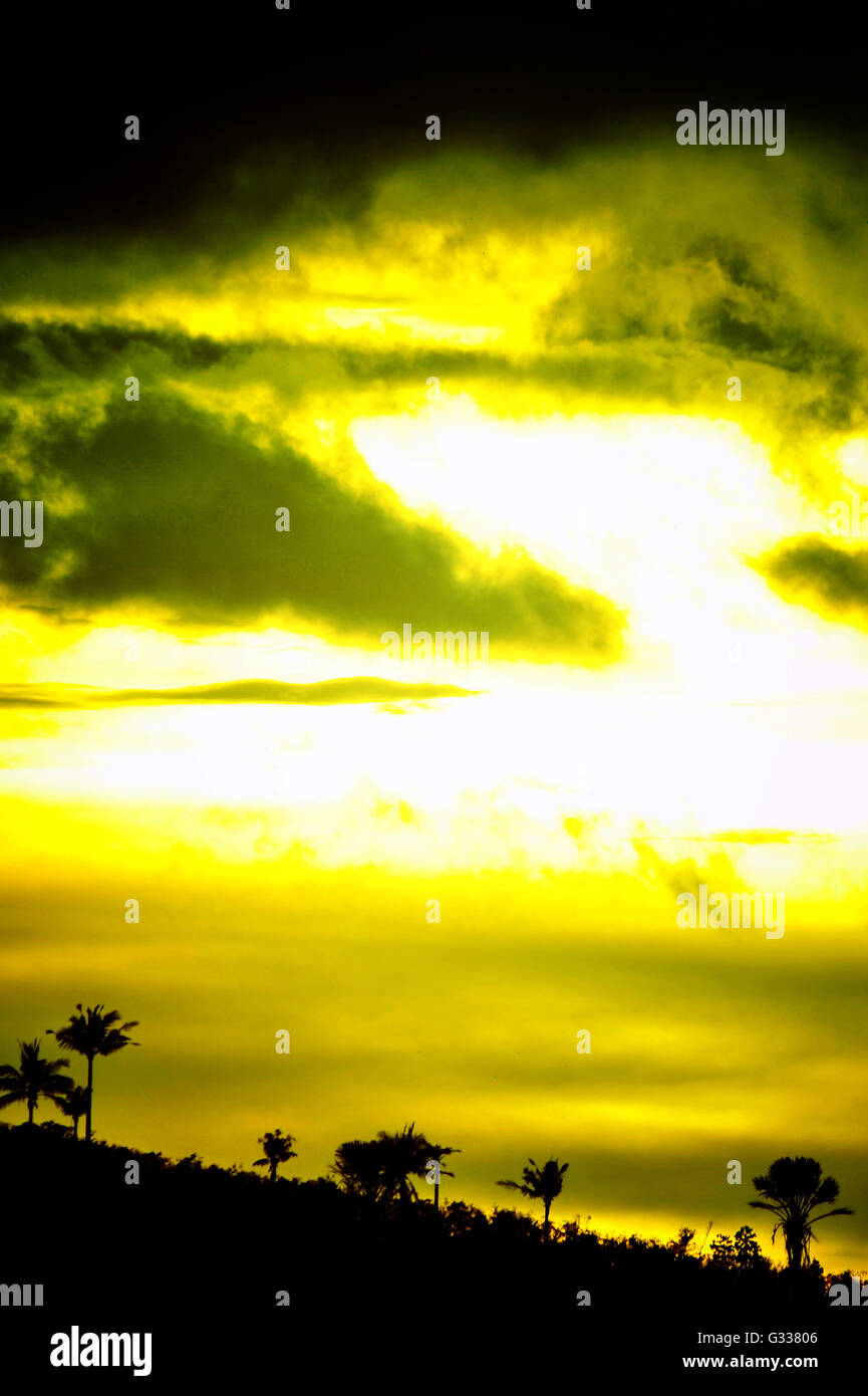 Mindoro hi-res stock photography and images - Alamy