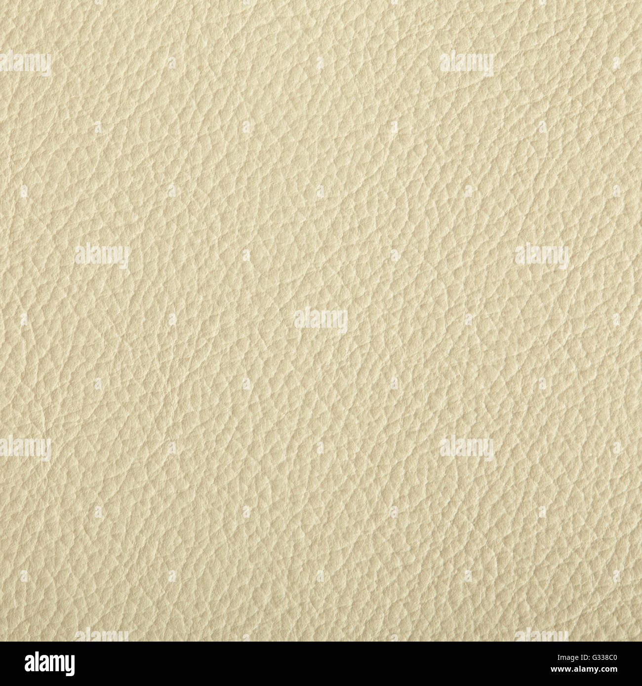Antique white leacher texture. Close up, top view Stock Photo - Alamy