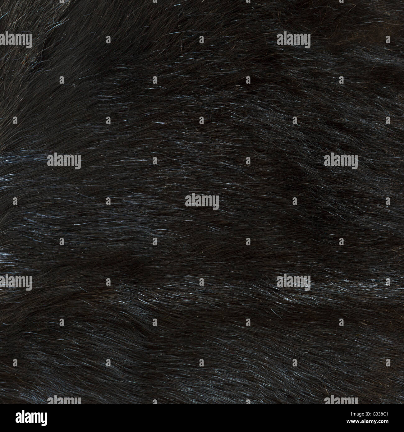 Black fur goat texture. Close up fragment top view Stock Photo - Alamy