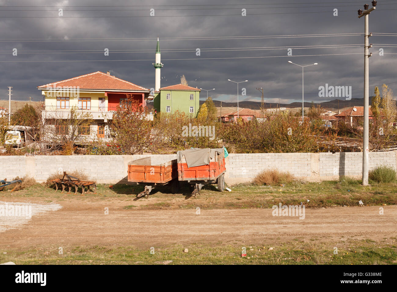 Turkey cows trees hi-res stock photography and images - Alamy