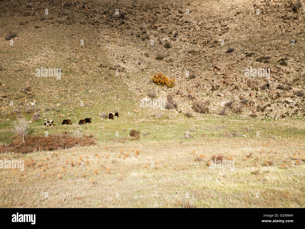 Rural areas of Turkey country Stock Photo - Alamy