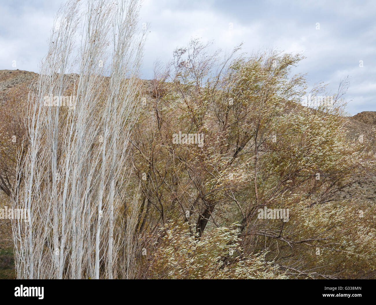 Rural areas of Turkey country Stock Photo - Alamy