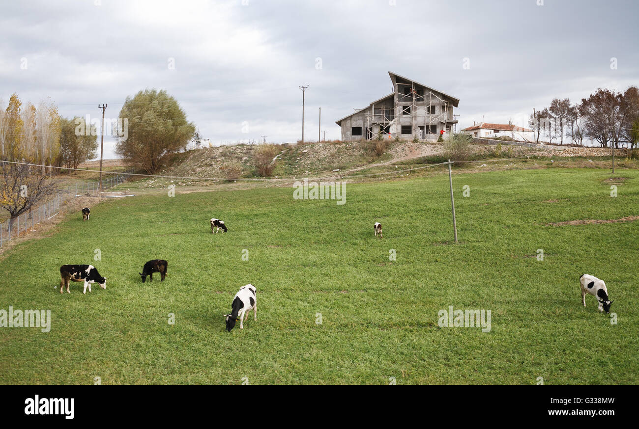Rural areas of Turkey country Stock Photo - Alamy