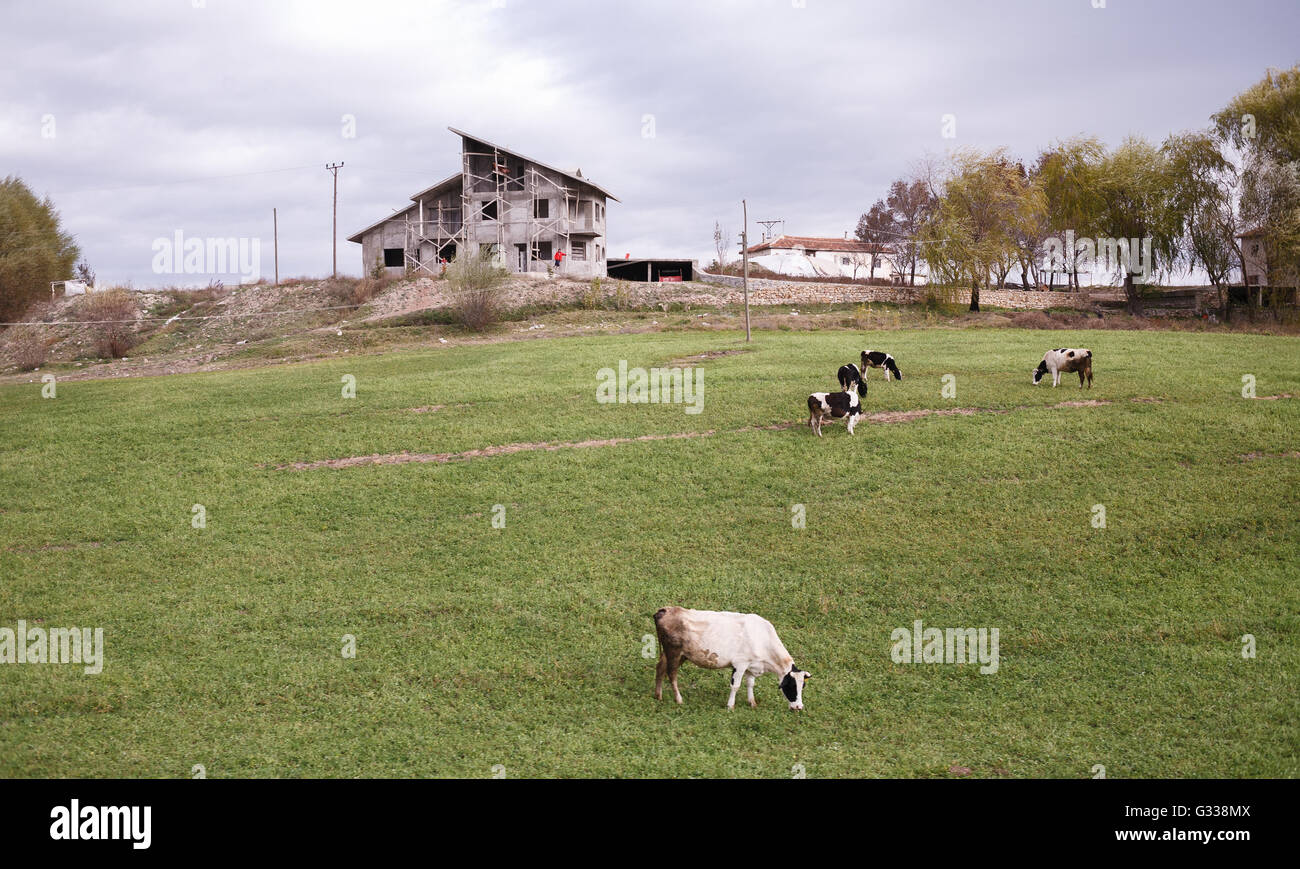Rural areas of Turkey country Stock Photo - Alamy