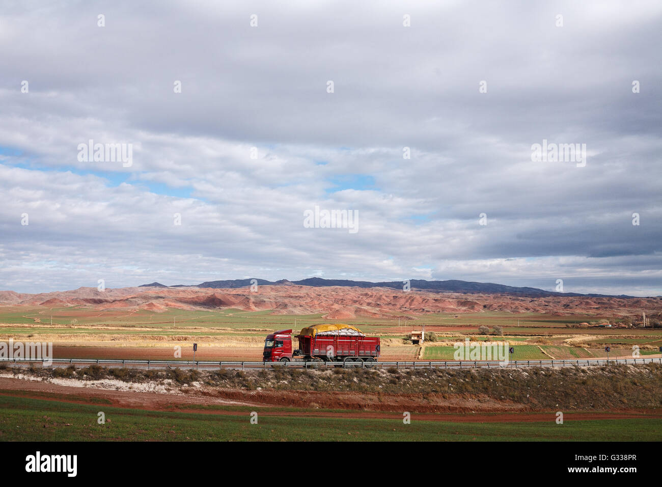 Turkey cows trees hi-res stock photography and images - Alamy