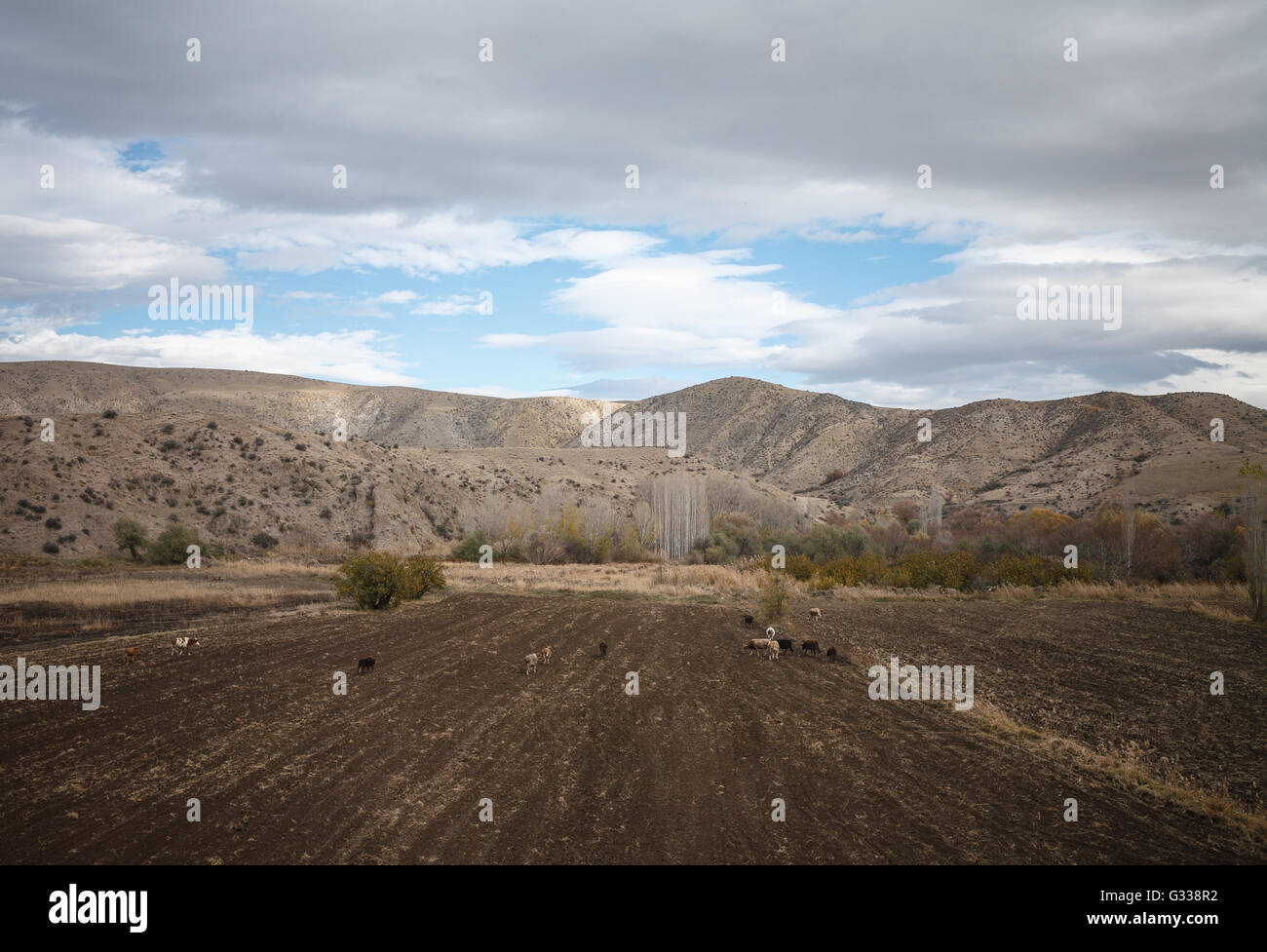 Rural areas of Turkey country Stock Photo - Alamy
