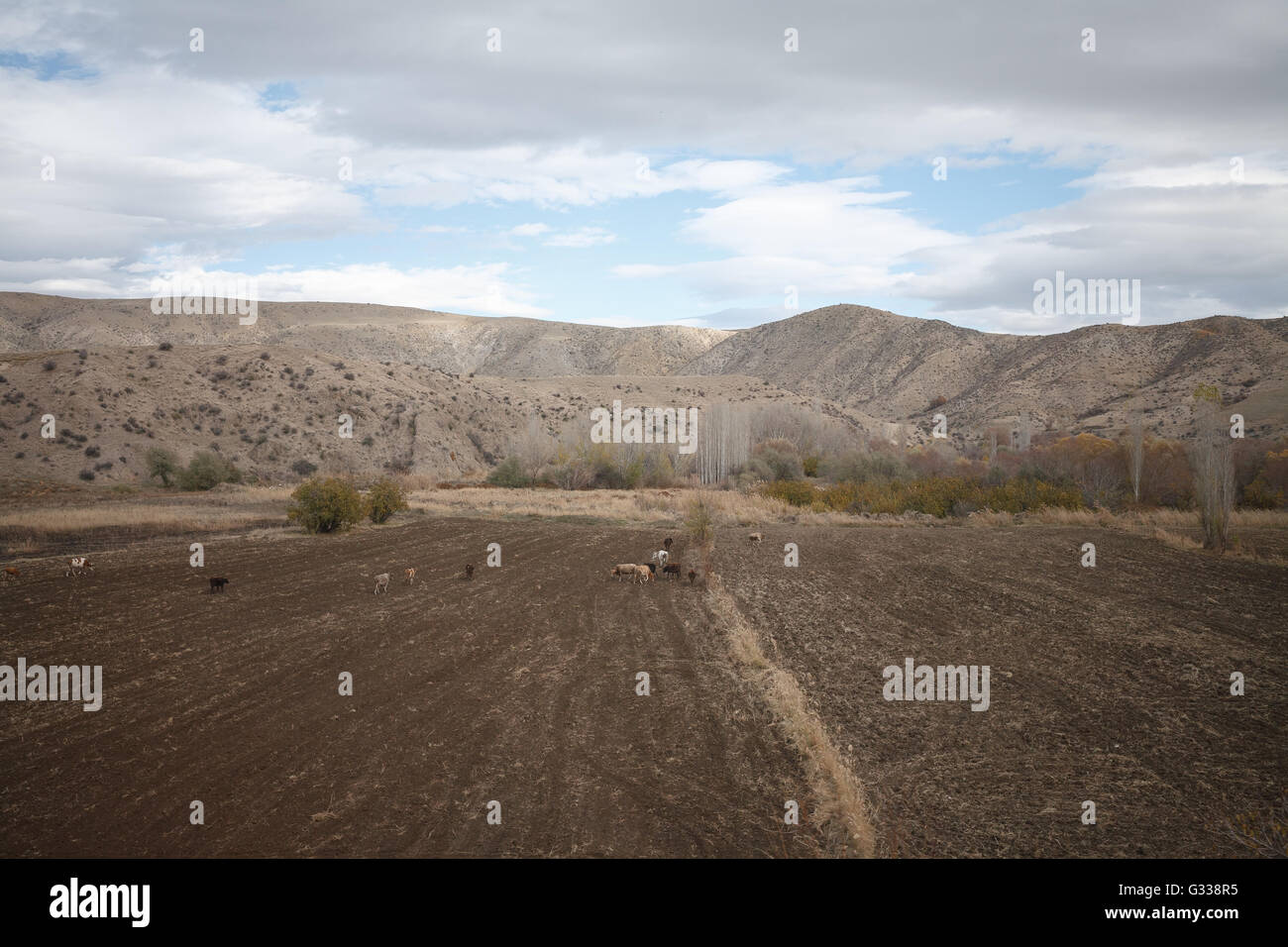 Rural areas of Turkey country Stock Photo - Alamy