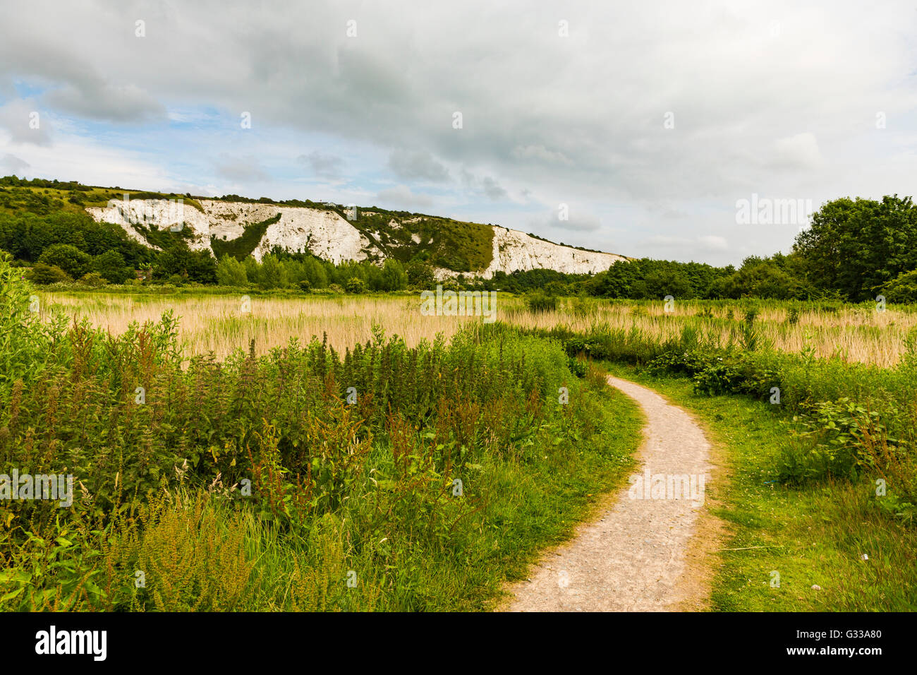 The Railway Land Wildlife Trust and Cliffe Hill in the distance, Lewes ...