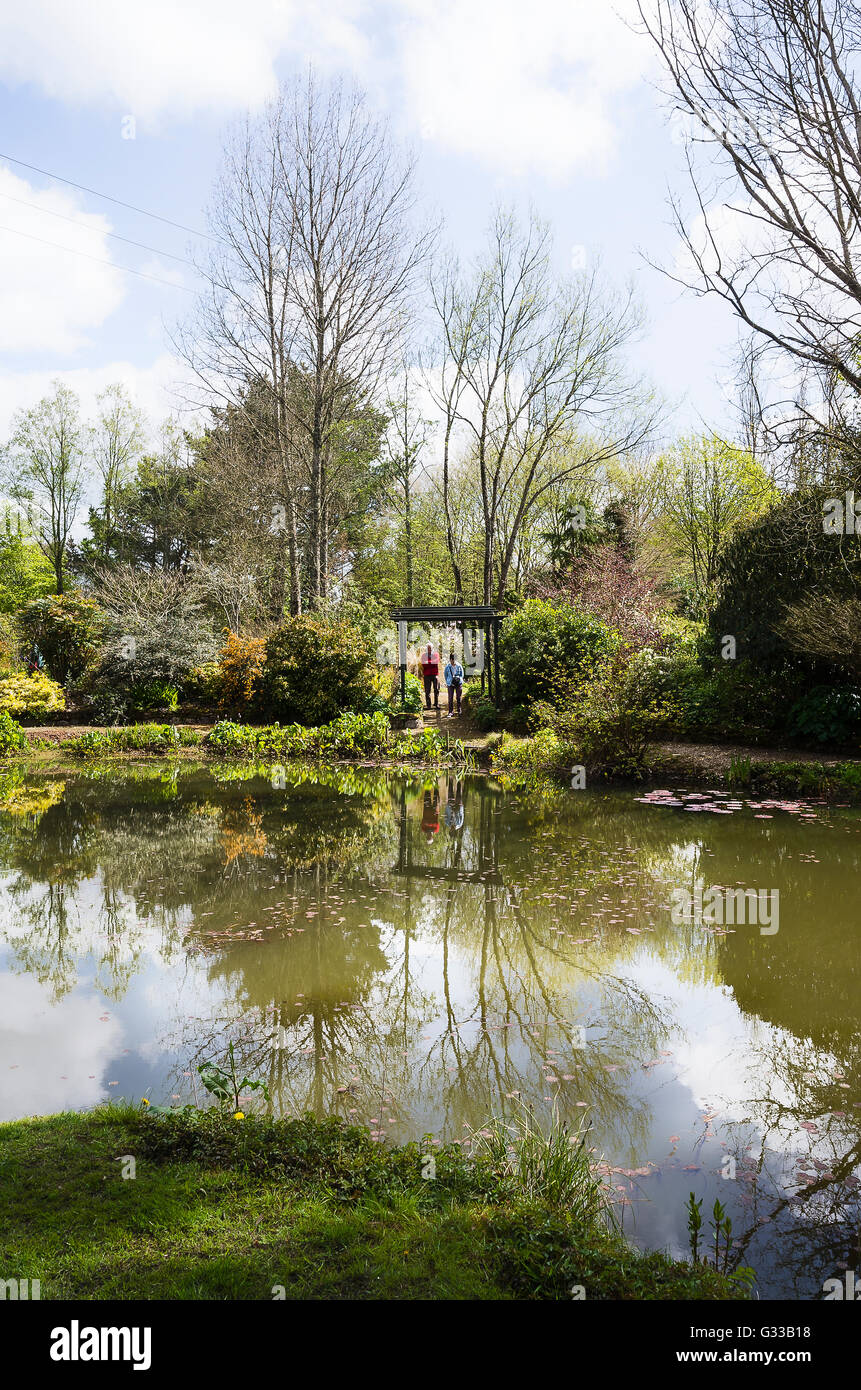 Garden visitors reach the lake at Marsh Villa garden in Cornwall Stock ...