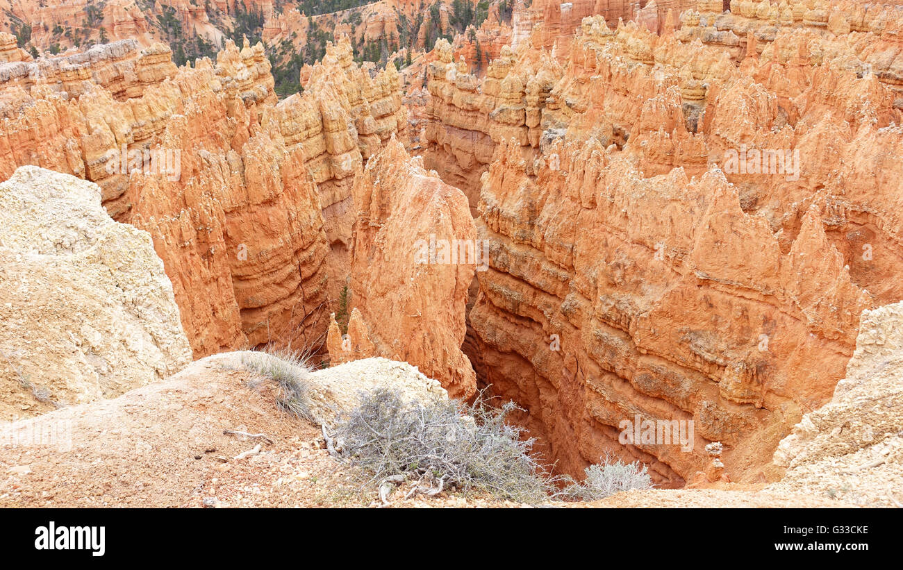Bryce Canyon Amphitheatre Utah USA Stock Photo - Alamy