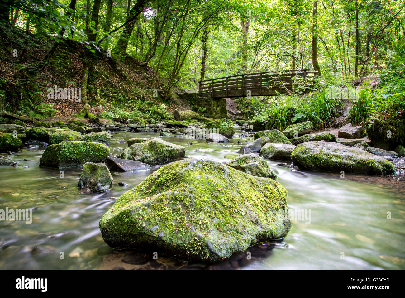 Bridge over a stream in the forest Stock Photo - Alamy
