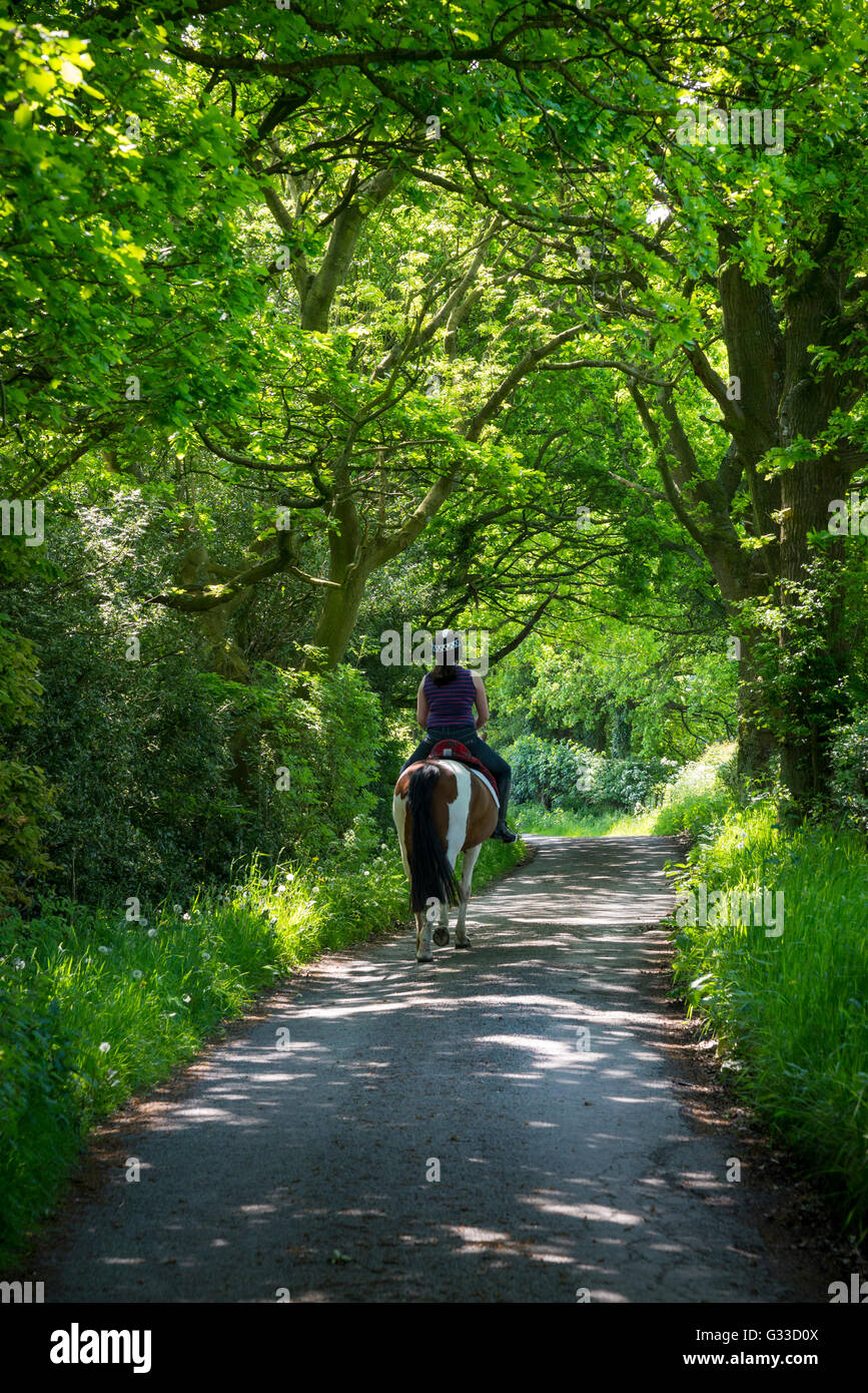 Horse rider on country lane hi-res stock photography and images - Alamy