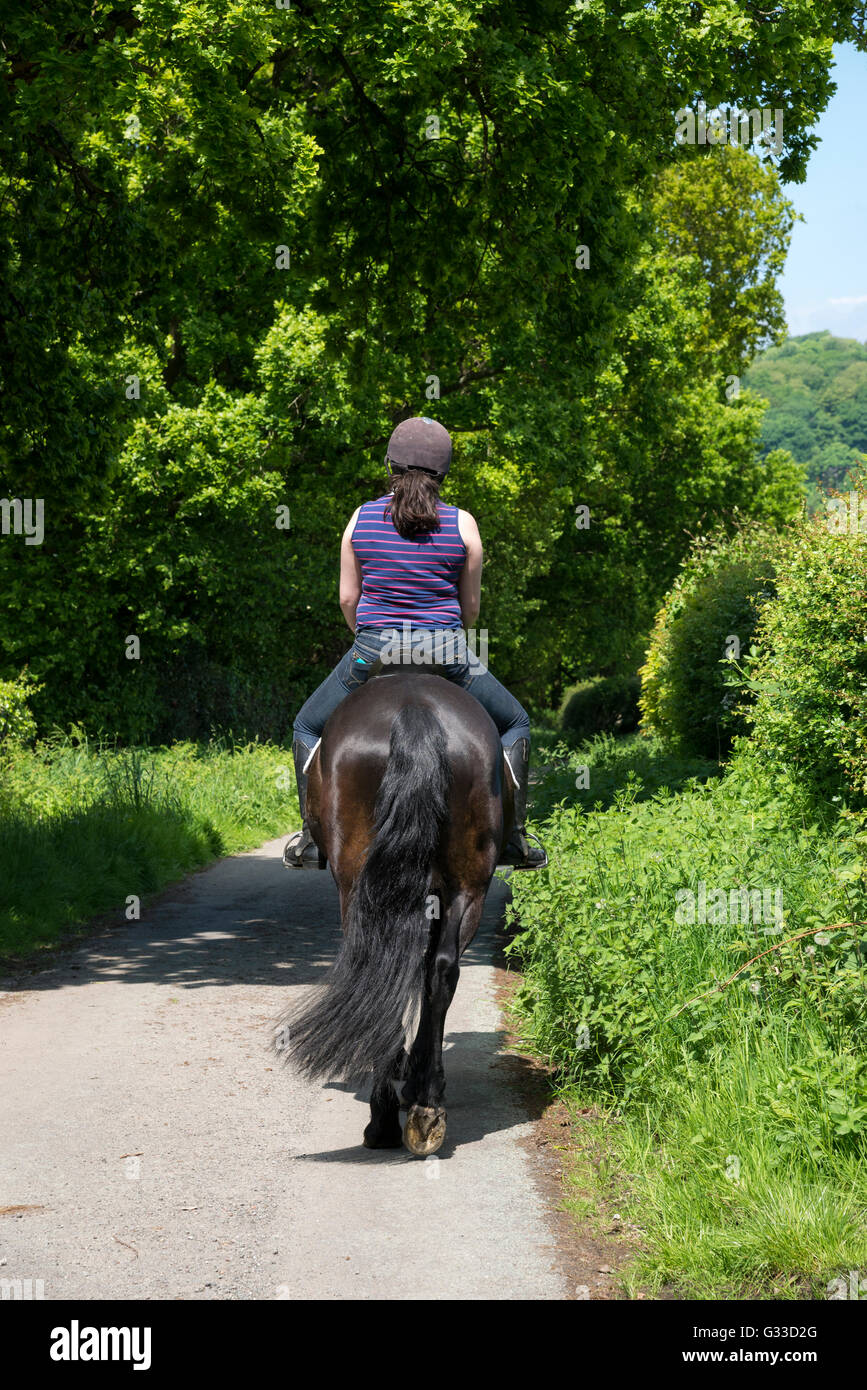 Horse riding in countryside hi-res stock photography and images - Alamy