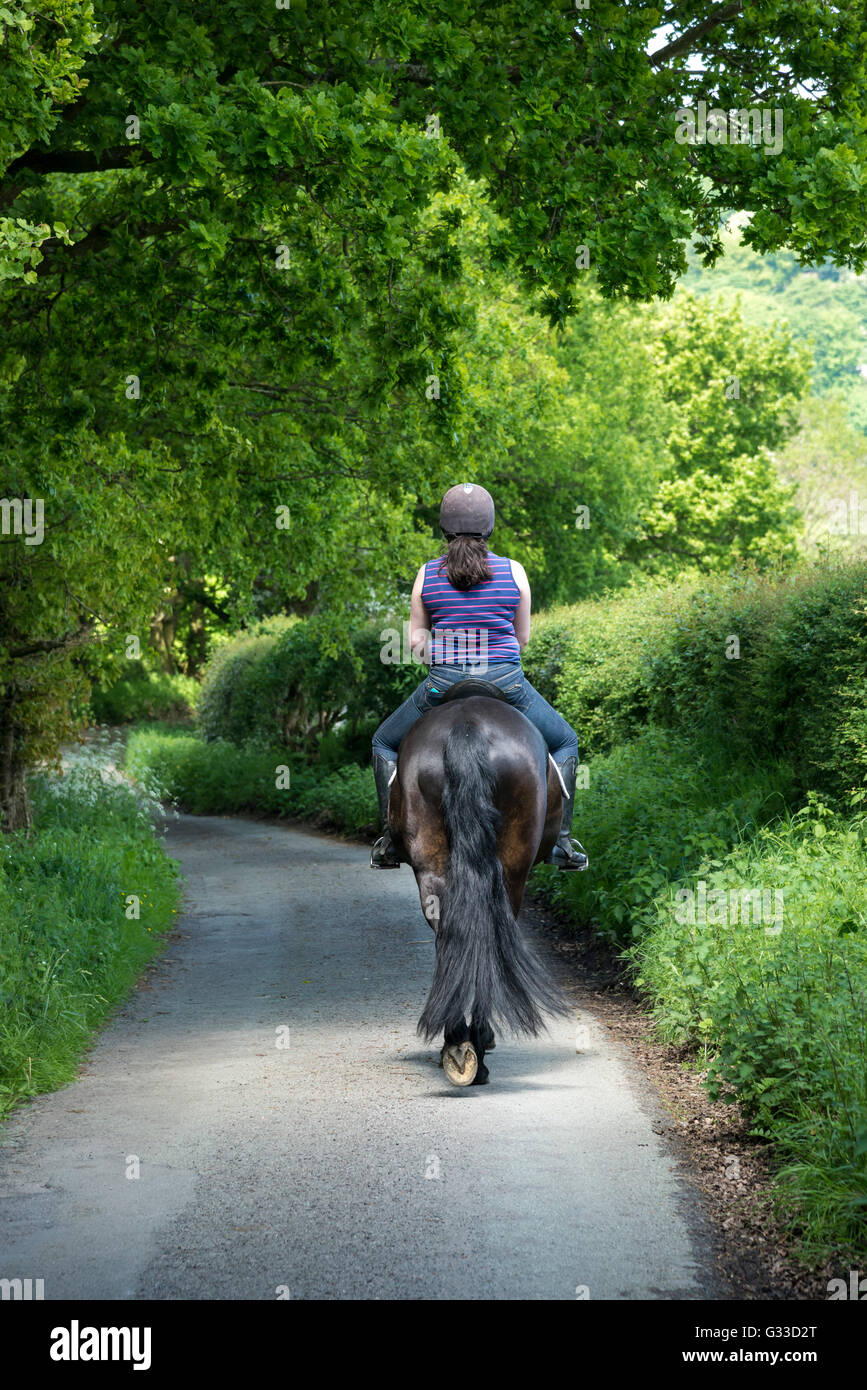 Horse rider on country lane hi-res stock photography and images - Alamy