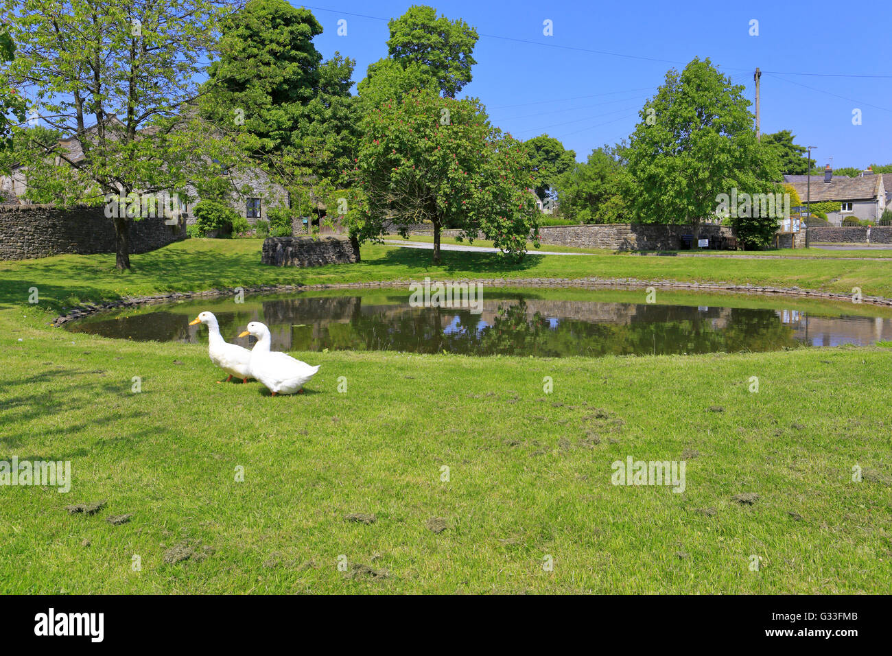 Village duck pond hi-res stock photography and images - Alamy