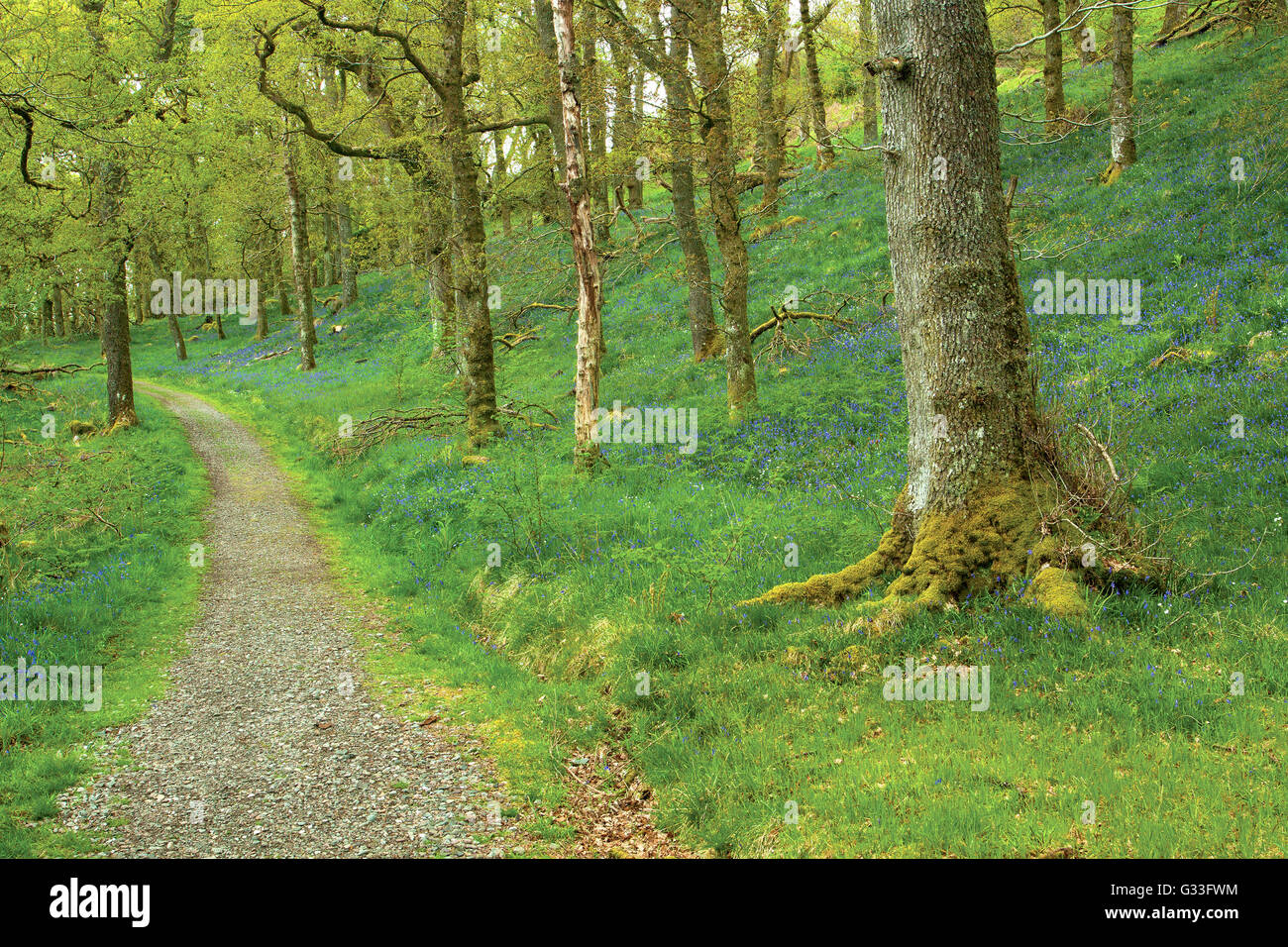 Lendrick hi-res stock photography and images - Alamy