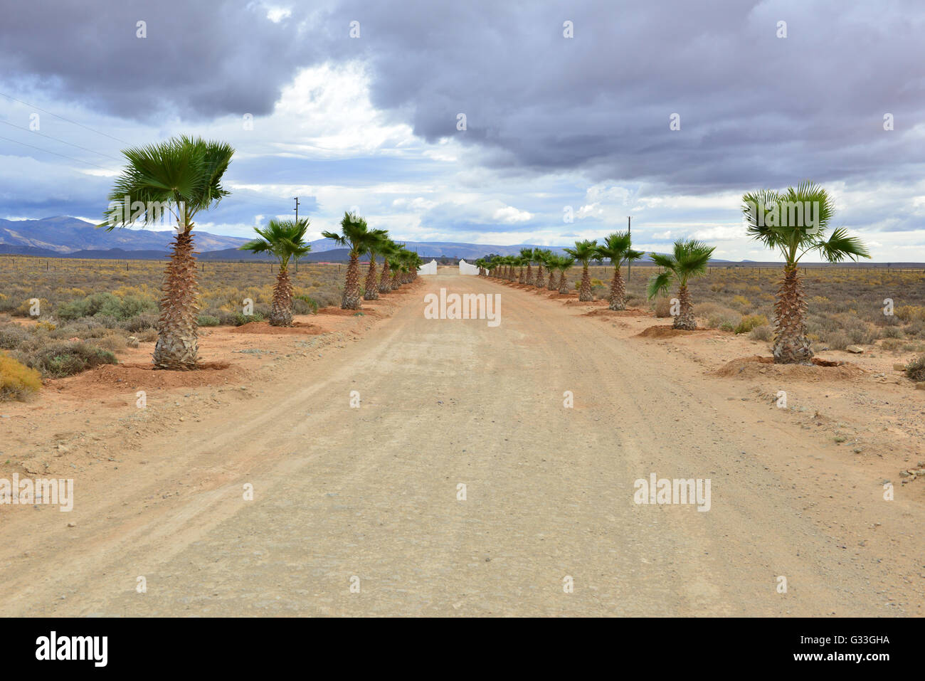 South african tundra hi-res stock photography and images - Alamy