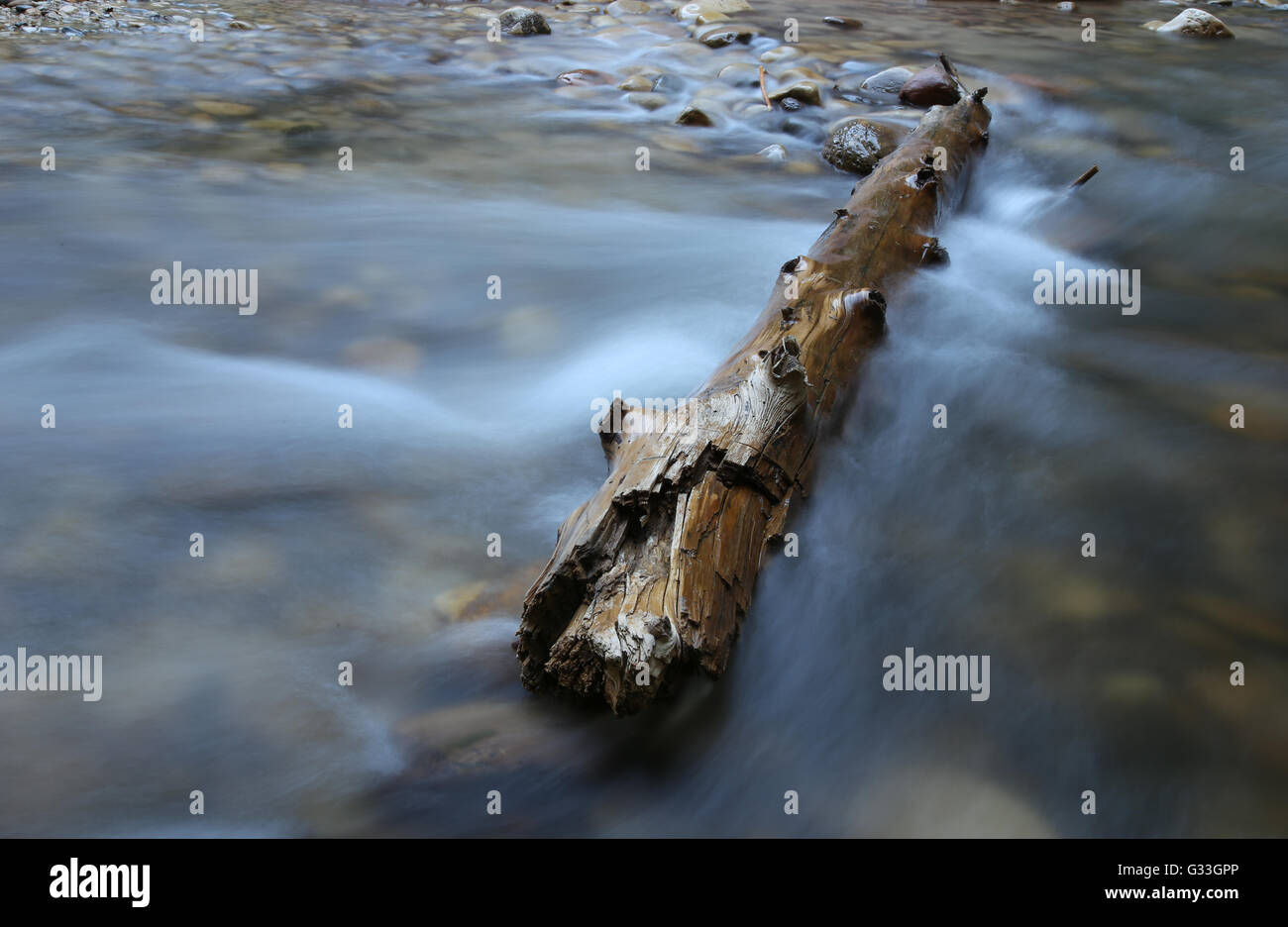 Scenelong hi-res stock photography and images - Alamy