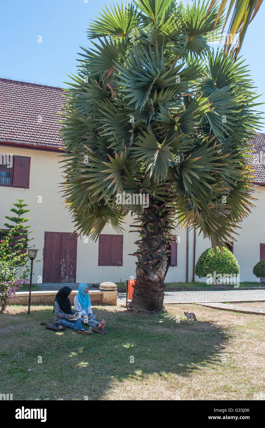 Girls sit undet a tree at Fort Rotterdam Complex during Makassar ...