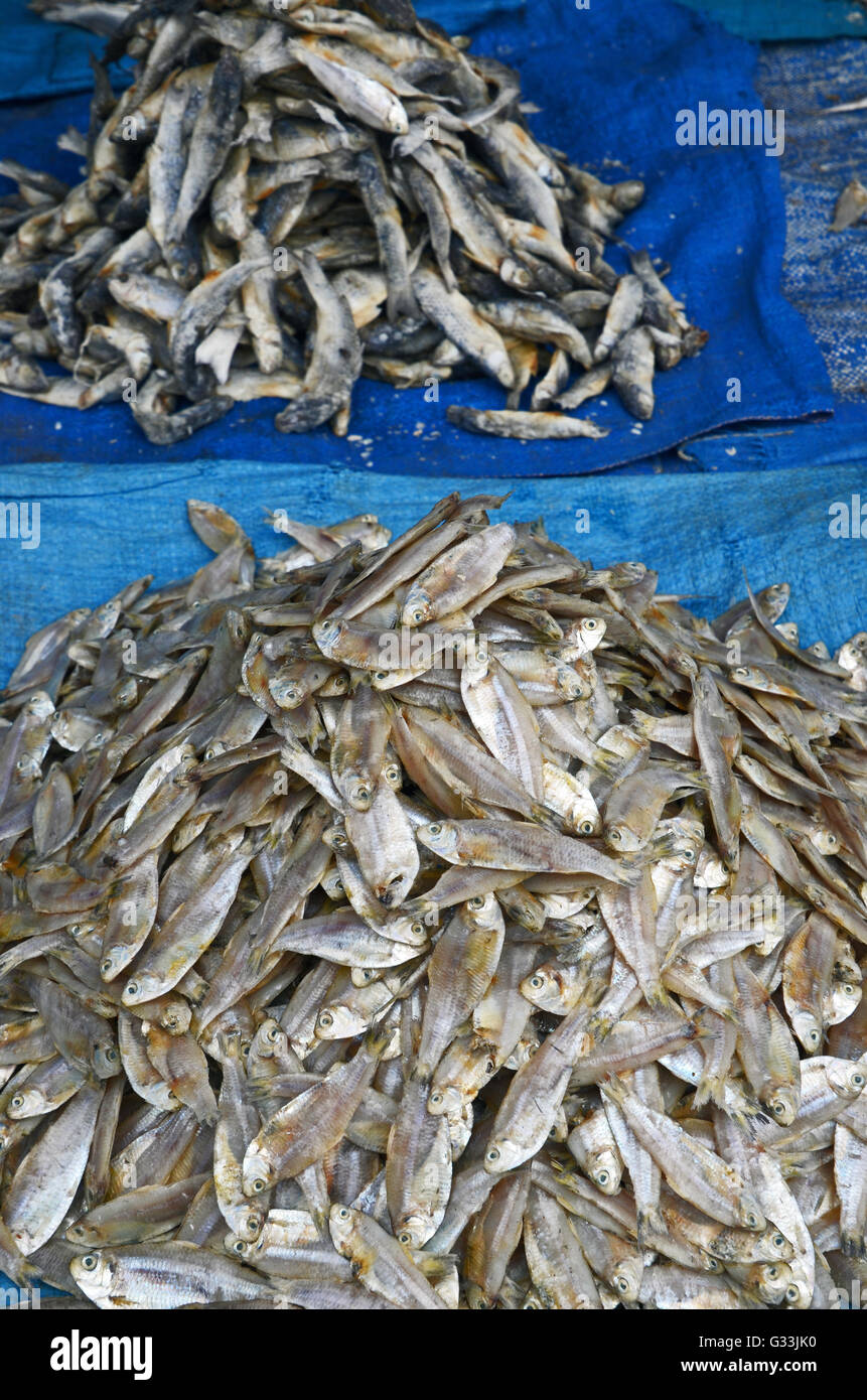 Dried fish for sale in the market at Bohorok, Sumatra, Indonesia Stock ...