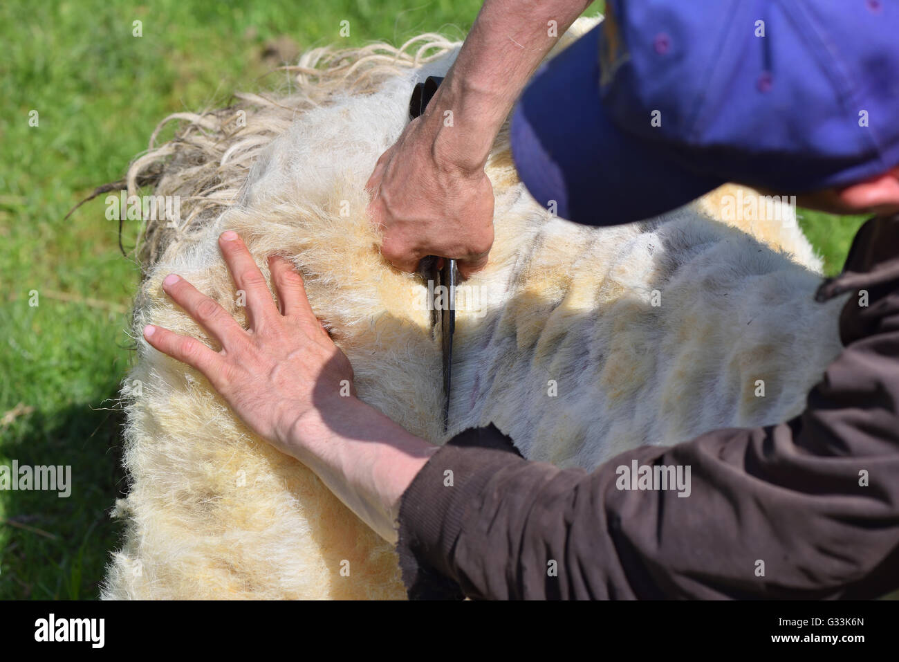 Skillfully hands hi-res stock photography and images - Alamy