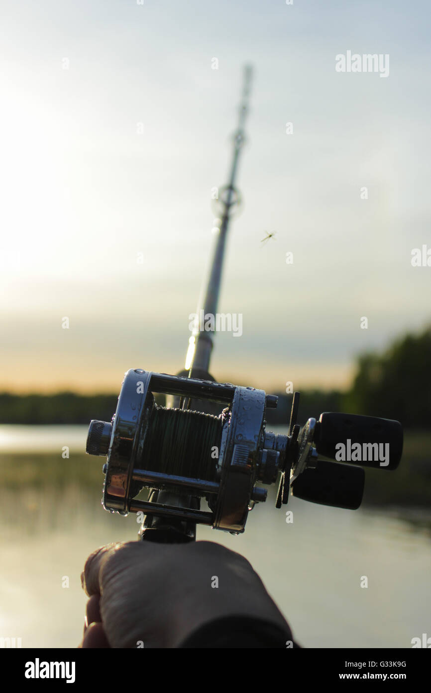 Male hand holdig a round fishing reel Stock Photo - Alamy