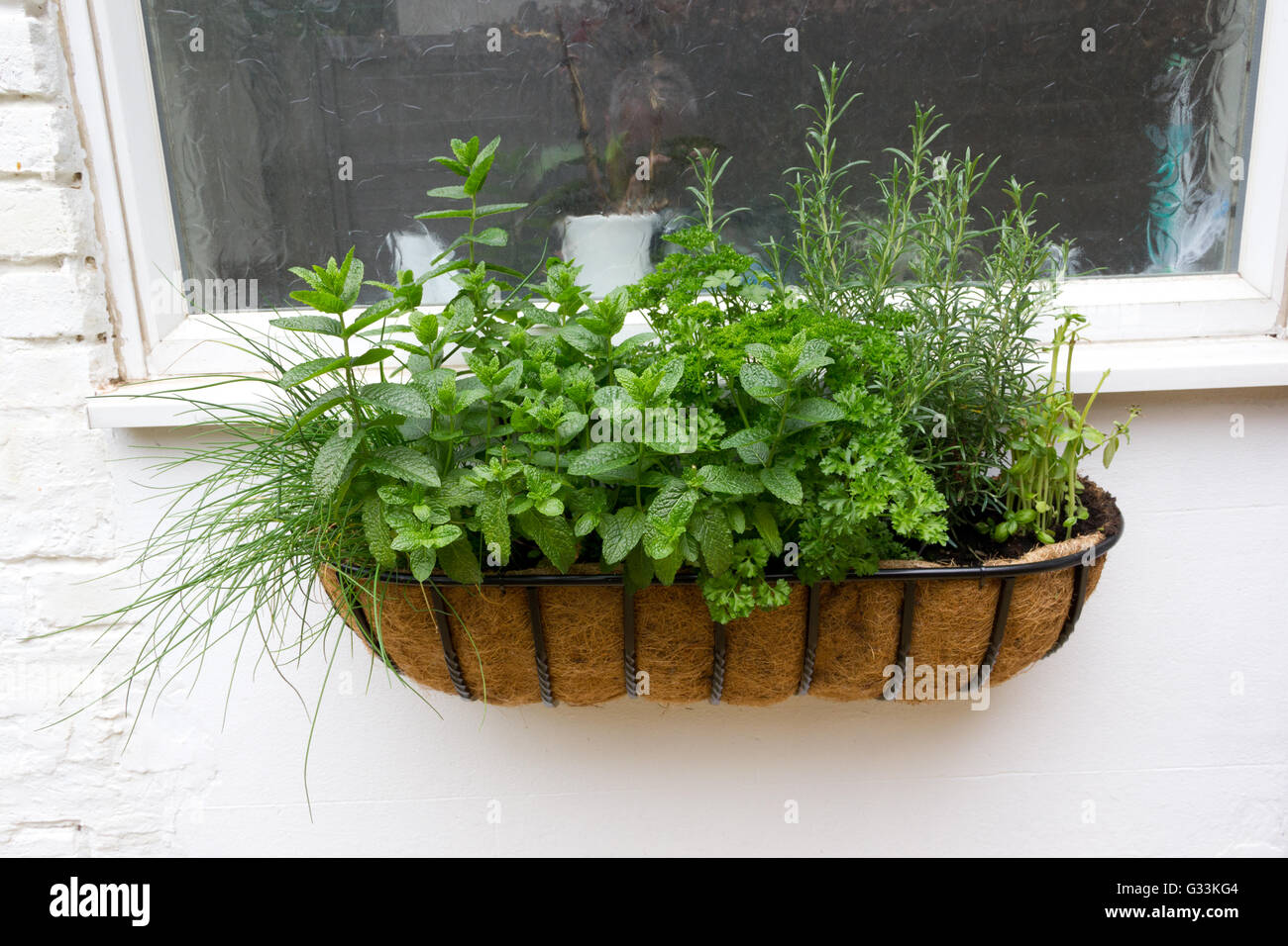 Window herb box Stock Photo - Alamy