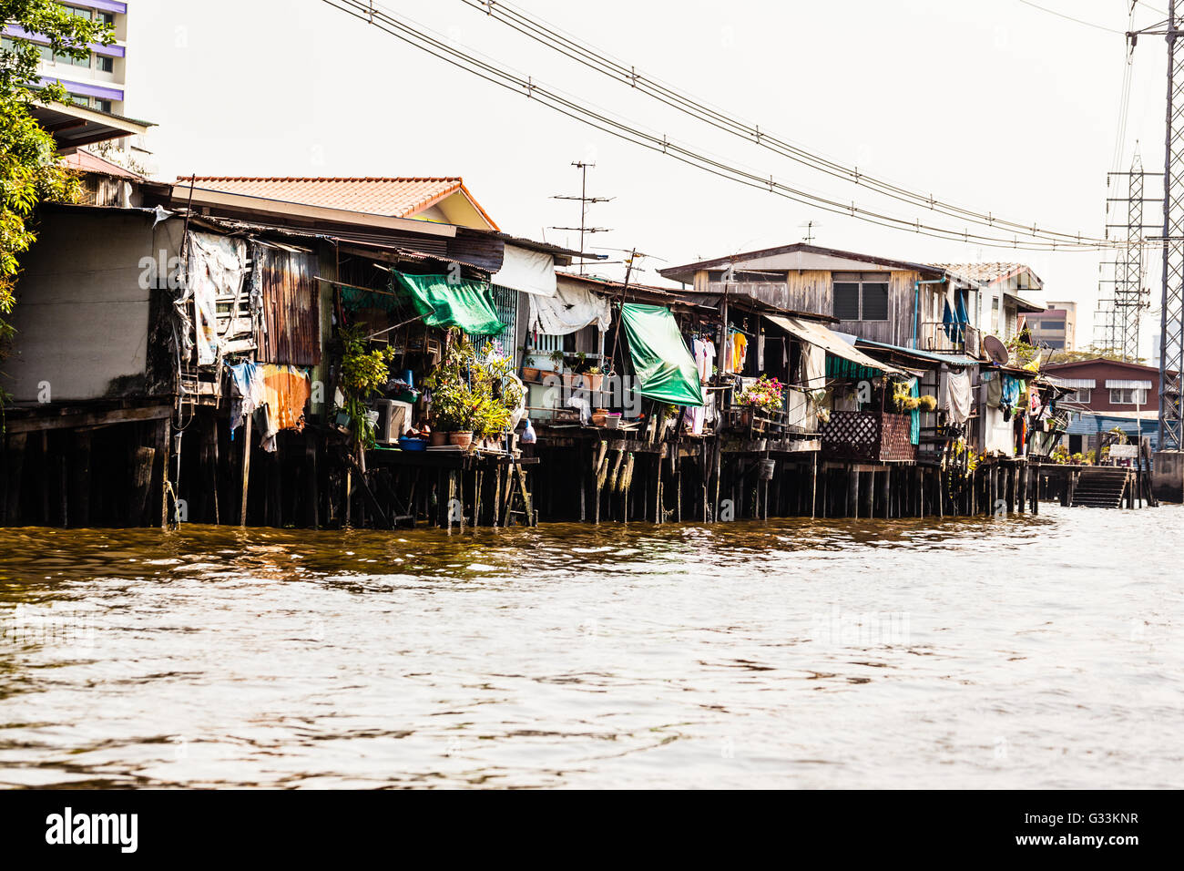 Wooden slums on stilts on the riverside of Chao Praya River in Bangkok ...