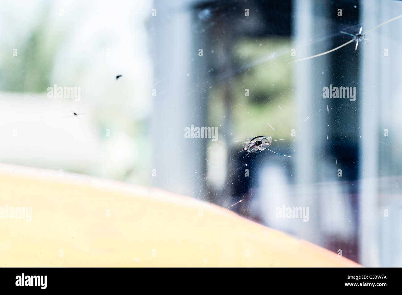two bullet impact cracks on the windshield of a car Stock Photo - Alamy