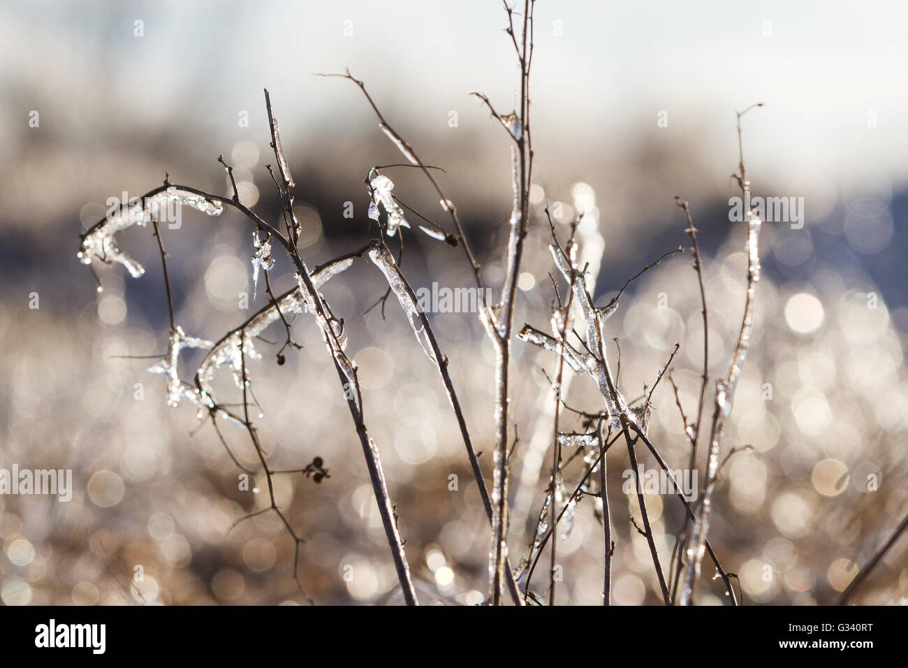 Freezes field hi-res stock photography and images - Alamy