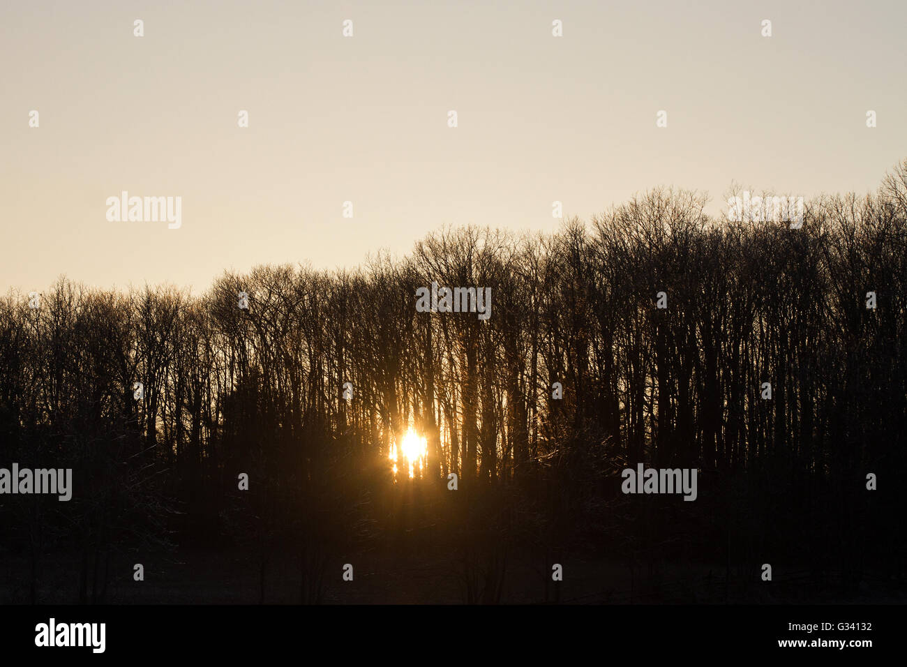 The sun sets behind the tree line Stock Photo - Alamy