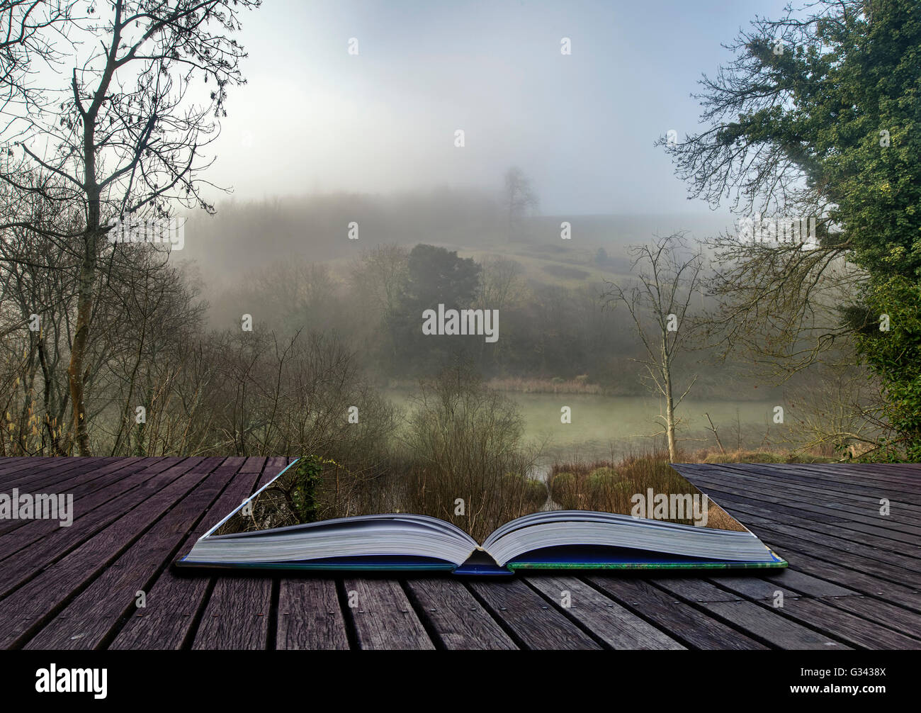 The dark forest book hi-res stock photography and images - Alamy