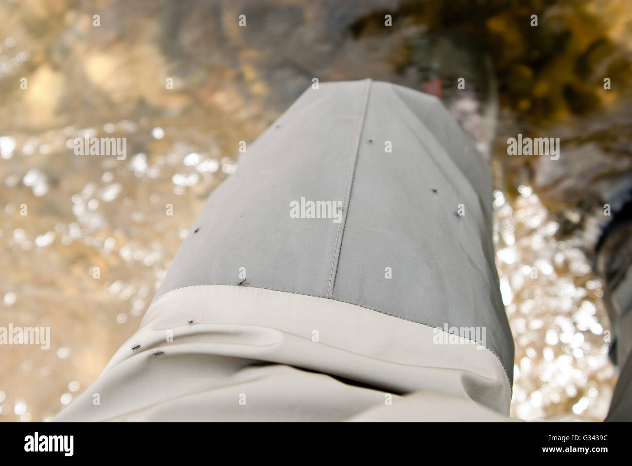 Midge hatch hi-res stock photography and images - Alamy