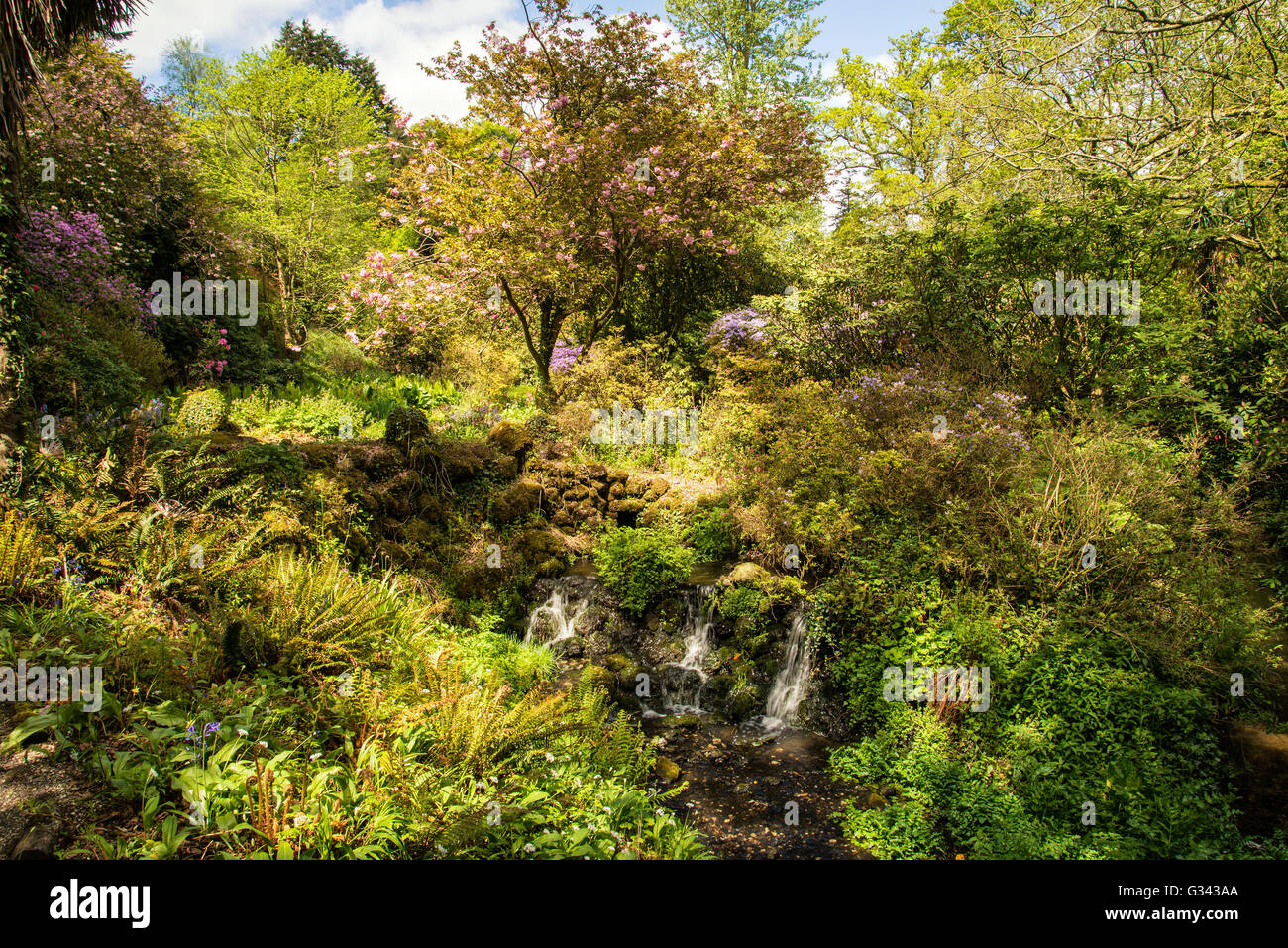 Beautiful Summer landscape image of stream flowing over rocks in ...